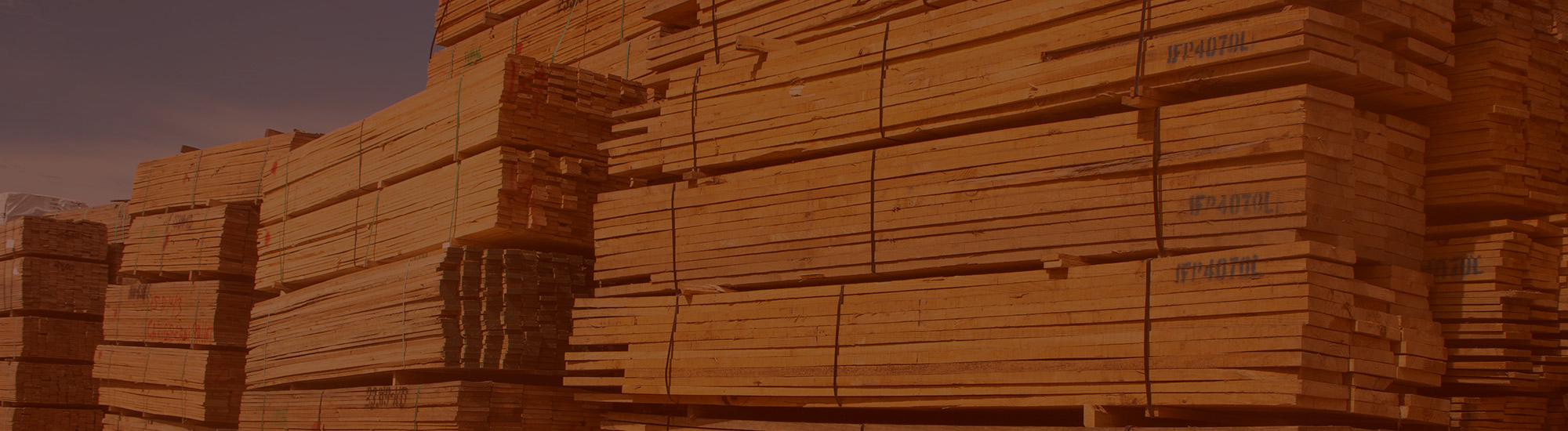CARIBBEAN PALLET